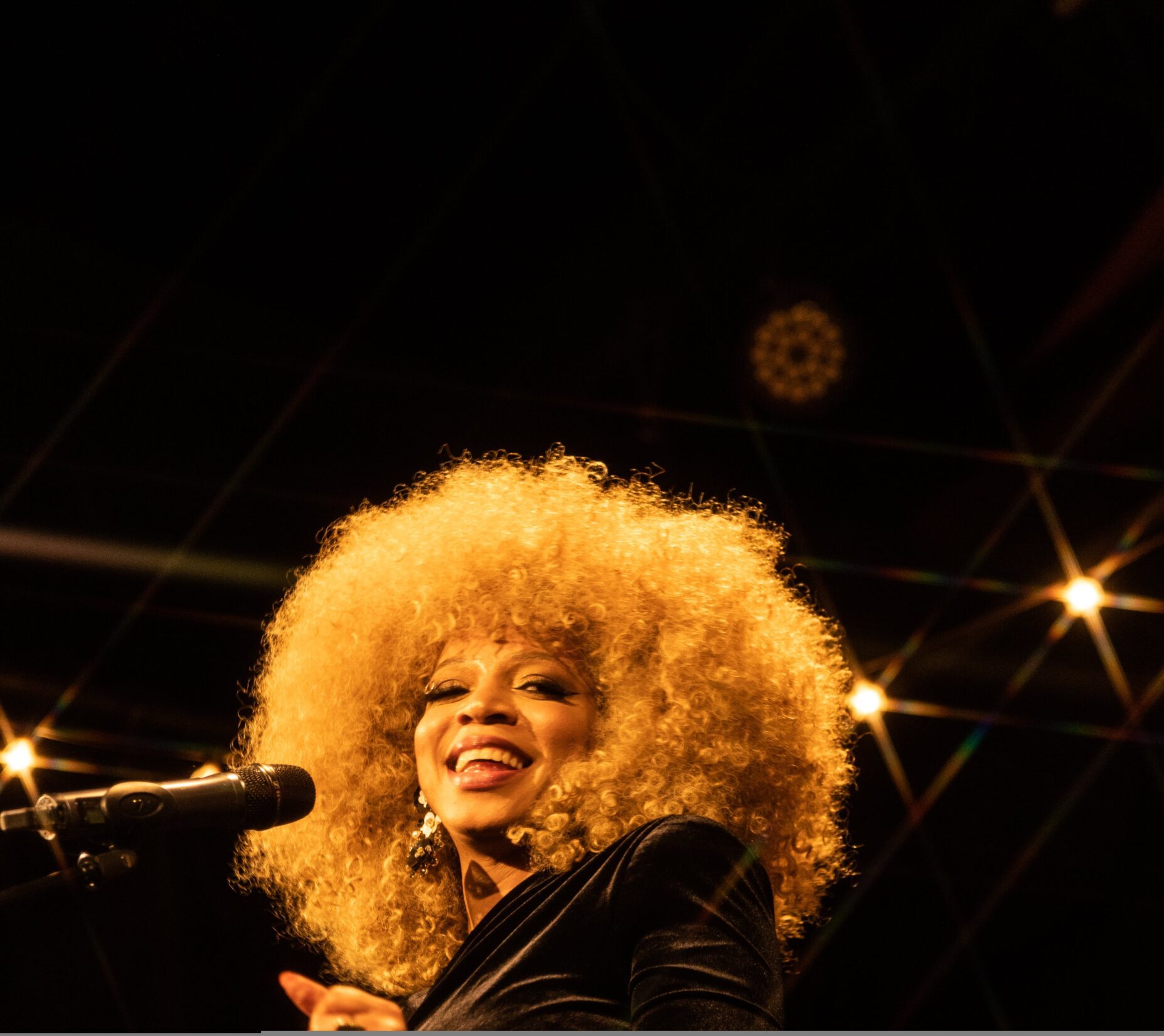 Canadian Reggae Artists Booked and Performing Live Again – Reggae North