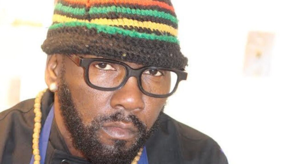 Snappa Chef Flies the Dumpling Plane – Reggae North