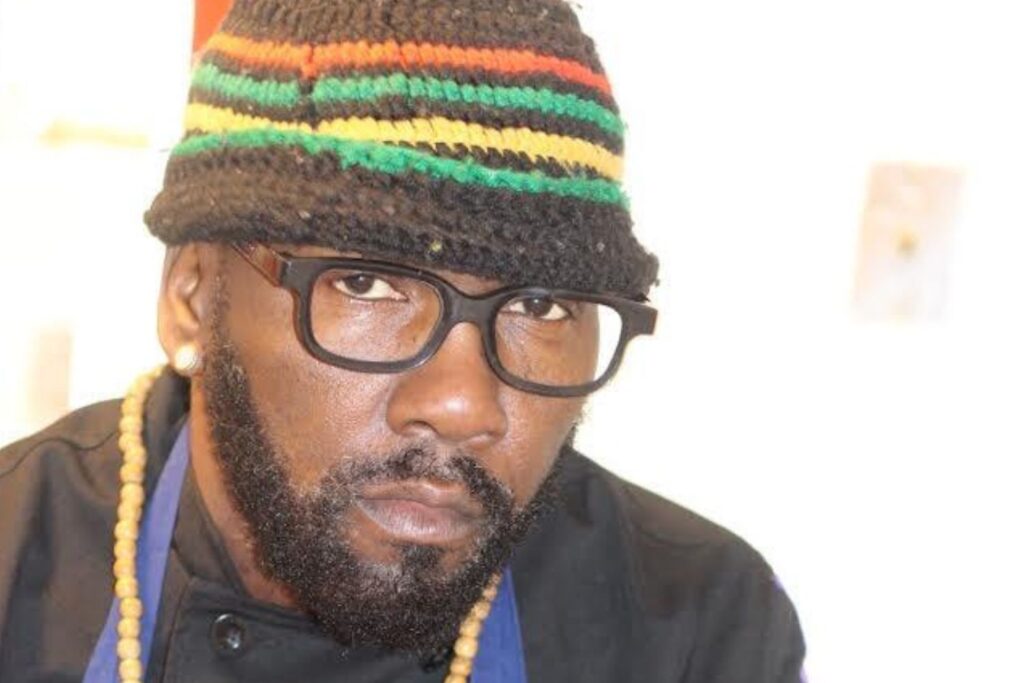 Snappa Chef Flies the Dumpling Plane – Reggae North